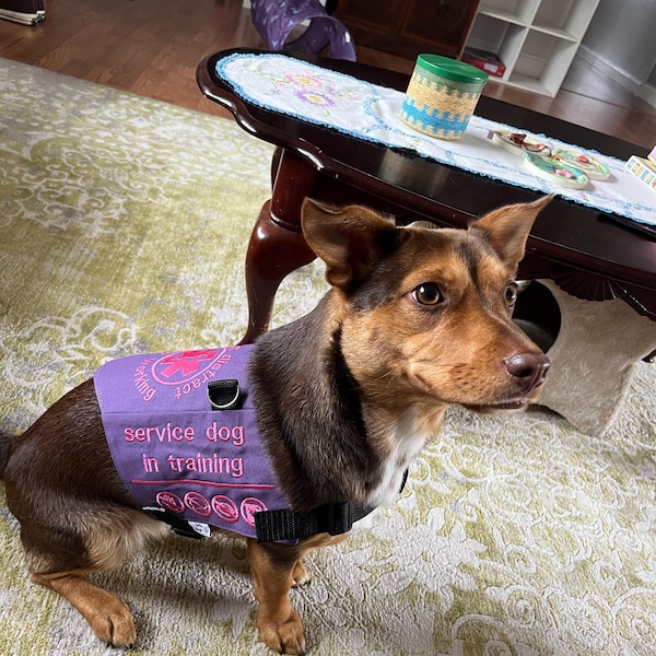 Dog Leash Wrap, Dog Leash Sleeve, Dog Leash, Dog Gear, Custom ...