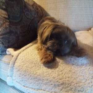 ABA Therapy Sticker, ABA Therapist Merch, Registered Behavior ...