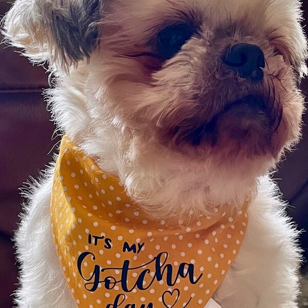 Gotcha Day Dog Bandana, It's My Gotcha Day, Boy or Girl Design, Pink ...