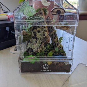 Jumping Spider Enclosure 5x5x9 Spider House, Spider Tank, Spider ...