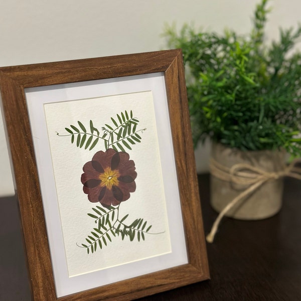 Botanical Card - Pressed Flowers - Real Flowers, Dried - Handmade ... Botanical Card - Pressed Flowers - Real Flowers, Dried - Handmade ...