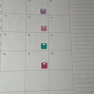 Cardio Planner Stickers Essentials Flag Sticker Erin - Etsy