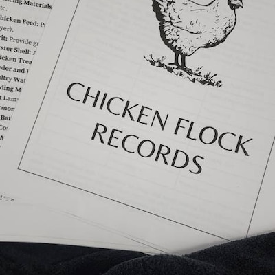 Raising Chickens Guideegg Trackers Management Journal, Printable PDF ...