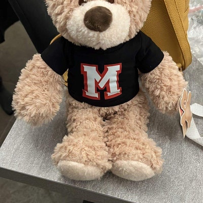 Personalised Teddy T-shirt or Hoody available in Different Colours ...