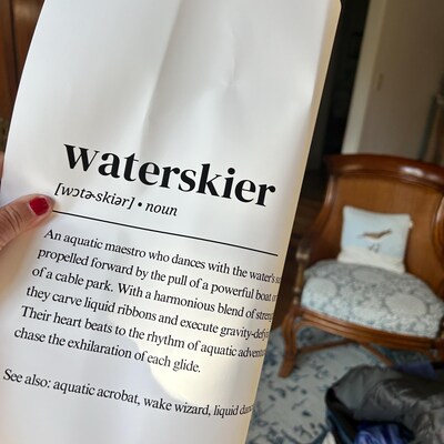 Skater Poster Skater Definition Skater Gift Skateboarding Gifts for ...