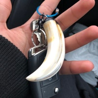 Beaded Springbok Wall Piece: the Endearing African Bushbuck in Beads on ...