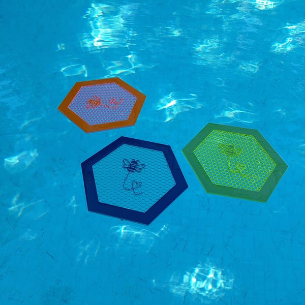 Monarch Butterfly Raising Kit- Butterfly Raising Kit, Milkweed Floral ...