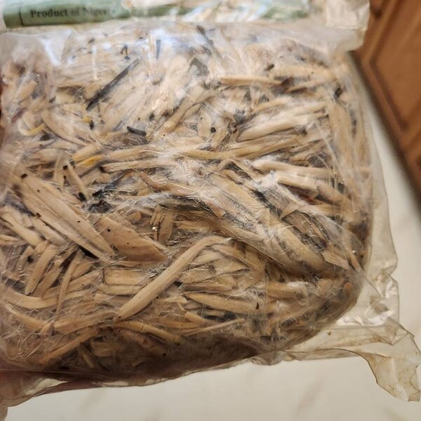 Palm Frond Nigerian Broom (aka Aziza, Igbale) - Etsy