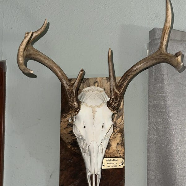 Push Button for Assistance 1x3 Custom Engraved Plaque Plate Sign W ...