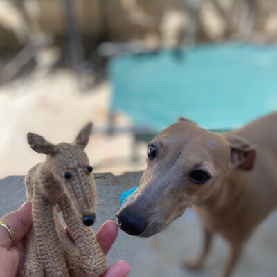 Lurcher Fluffy Scruffy Hairy Hound Hand Knitted Sighthound Wolfhound ...