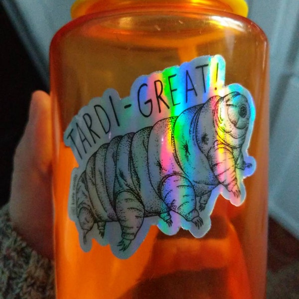 Roly Poly Vinyl Sticker - Etsy