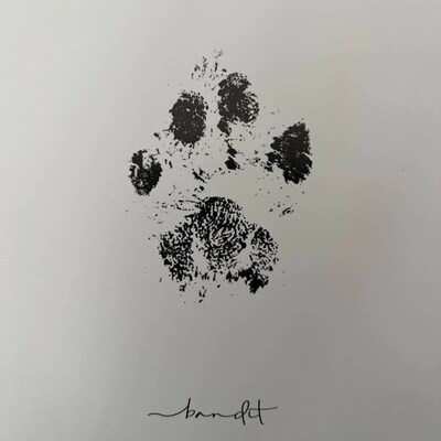 Custom Nose Print Line Art Pet Ears Portrait Minimalistic Pet - Etsy