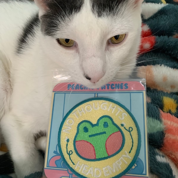 No Thoughts Head Empty, Cute Frog Iron on Patch for Clothes, Backpacks ...