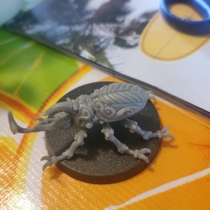 Female Githyanki Void Surfer Printed Obsession Gith Void Pirates D&D ...