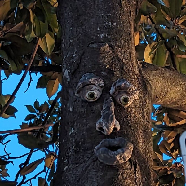 Forrest Stump - Concrete Tree Face Whimsical Gardeners Gift Forest Face ...