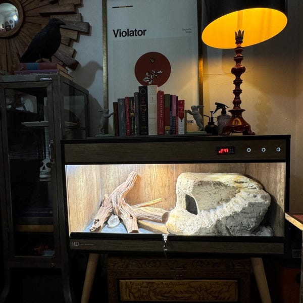 LARGE Turtle Basking Platform Dock Ramp for Over the Tank, Turtle Dock ...