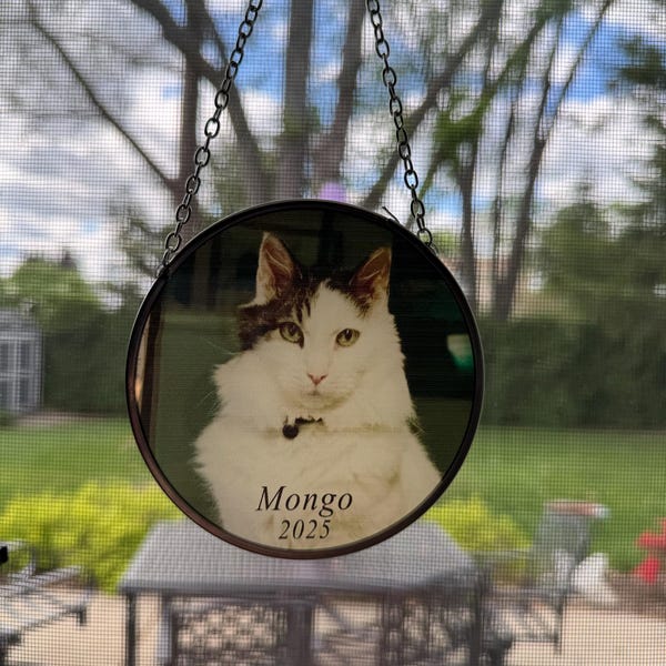 Personalized Glass Photo Paperweight, Pet Memorial Gift - Etsy