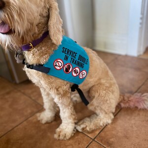 1 Patch IGNORE ME 8 inches x 3 inches Sew on customizable | Etsy