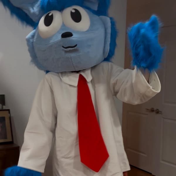 Custom Costume and Head - Custom Mascot Head and Full Mascot + Message ...