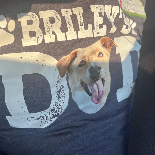 Best Team Ever Custom Team Name Shirt, Best Team Ever T-shirt, Custom ...