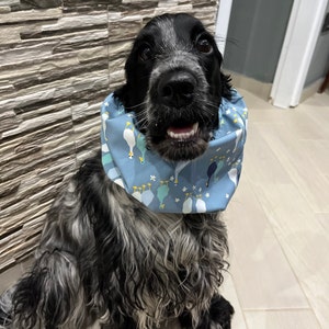 Waterproof Thick Dog Snood , Swimming Cap for Dog , Dog Hat for Snow - Etsy