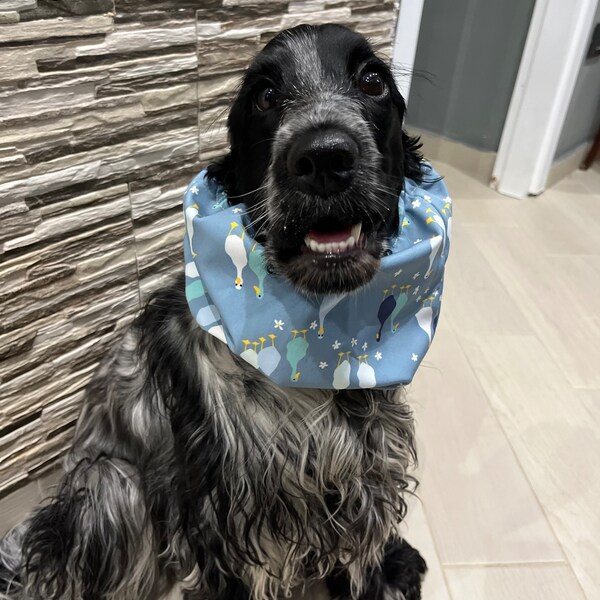 Waterproof Thick Dog Snood , Swimming Cap for Dog , Dog Hat for Snow - Etsy