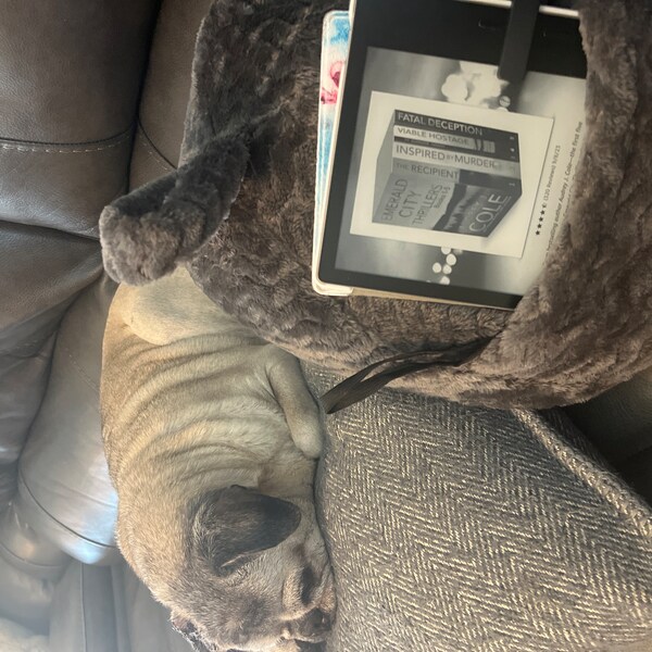 Large Book Pouf, Kindle Pillow, iPad Tablet Stand, Gift for Book Lover ...