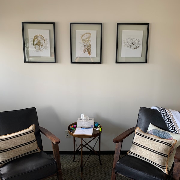 Human Brain Anatomy Medical Student Gift Foil Print - Doctors Office ...