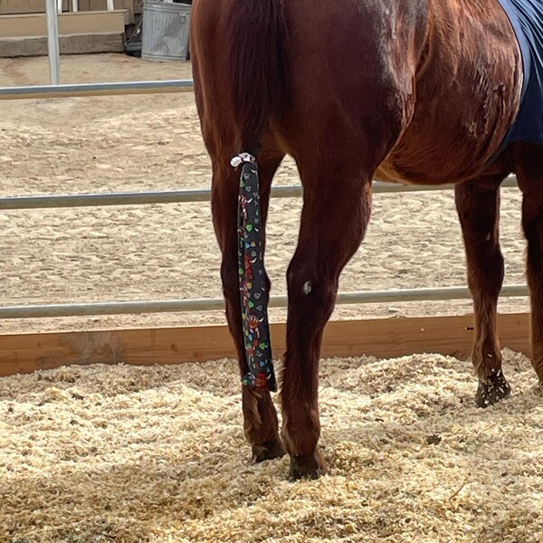 Super Sassy Equine Equine Tail Bag, Purple Sass Horse Tailbag for ...