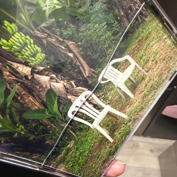 Bad Bunny - DebÍ Tirar MáS Fotos 2025 CD Album - Plena, Jíbaro, Salsa ...