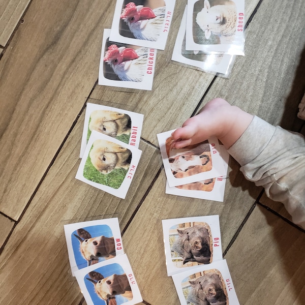 Hebrew-english Matching Animals, Farm Animals, Rivers and Lakes, Woods ...