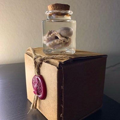 My Heart is Yours Pendant Real Rat Heart in a Glass Vial - Etsy