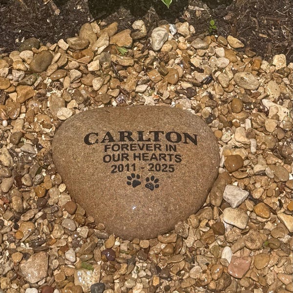 Family Tree Written in Stone- Custom Carved River Rock Garden ...