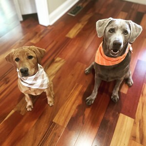 Dog Bandana With Snap Reversible Dog Bandana Embroidered Dog Bandana ...