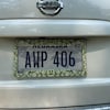 Ditsy Floral on Sage License Plate Frame Car Accessories Flowers ...