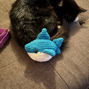 Zombie Kidney Amigurumi Pattern Kidney Transplant or Donor - Etsy