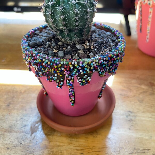 Sprinkle Planter, Cloud Plant Pot, Sunset Planter, Ice Cream Planter ...