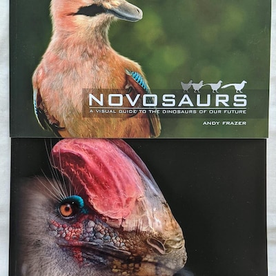 NOVOSAURS Book - Etsy