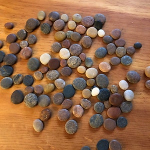 Oval Shaped Beach Rocks Sea Stones Oval Pebbles Bulk 100 Pcs SMALL - Etsy