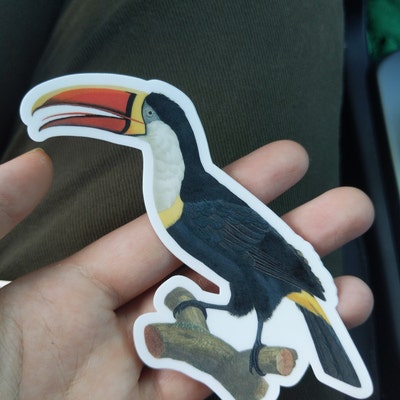 Toucan Sticker, Vintage Sticker Pack, Laptop Stickers, Nature Tropical ...