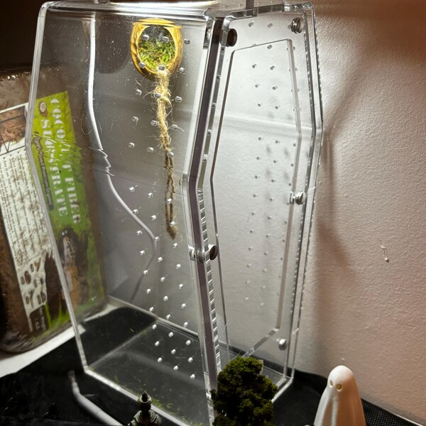 Clown Fish Nemo Themed Top Opening Hinged Jumping Spider Sling ...