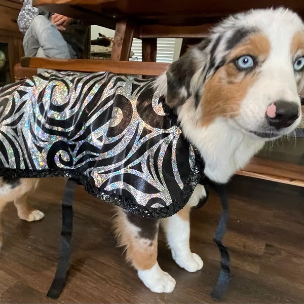 Dog Drying Coat, Grooming Coat, Lycra, Washable, Comfortable, Custom ...