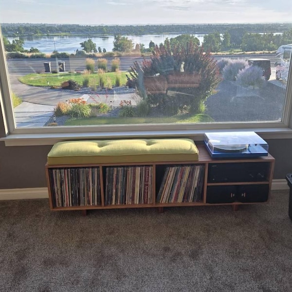 Hifi Double Decker Vinyl Storage Unit With Mid Century Modern Stylings ...