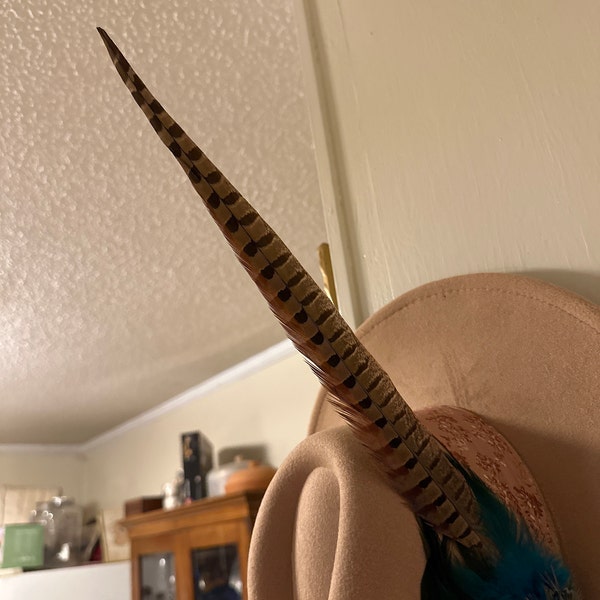 DIY Trimmed Bicorne Hat Making Tutorial DIY Bicorne - Etsy