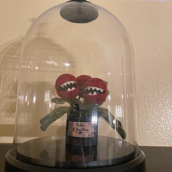 Venus Flytrap Plant, Cute or Scary Gift, Carnivorous Plant, Creepy ...