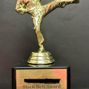 Kick Ass Trophy Horse Ass Trophy Karate Kicks Ass - Etsy