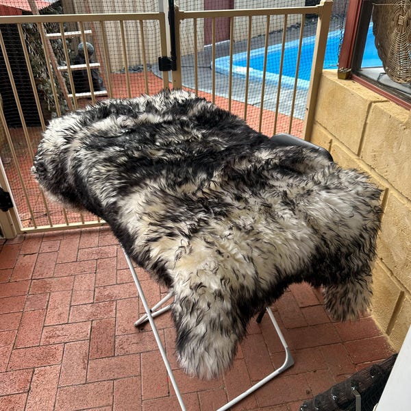 GIANT SHEEPSKIN Triple XXL Mouflon Throw Genuine Leather Sheep Skin 64 ...