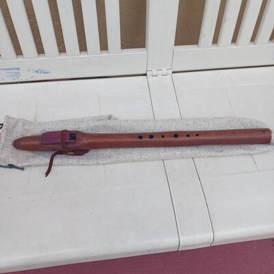 Snapping Turtle Shell Maraca Rhythm Percussion Instrument - Etsy