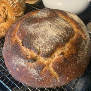 Organic Rye Sourdough Starter 32 Grams Freshly Milled Rye - Etsy