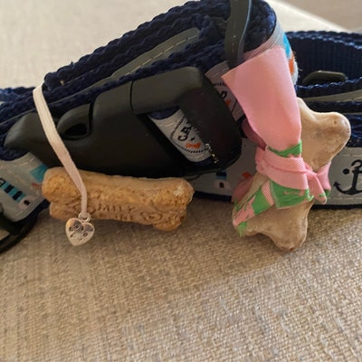 Cape Cod Dog Collars - Etsy